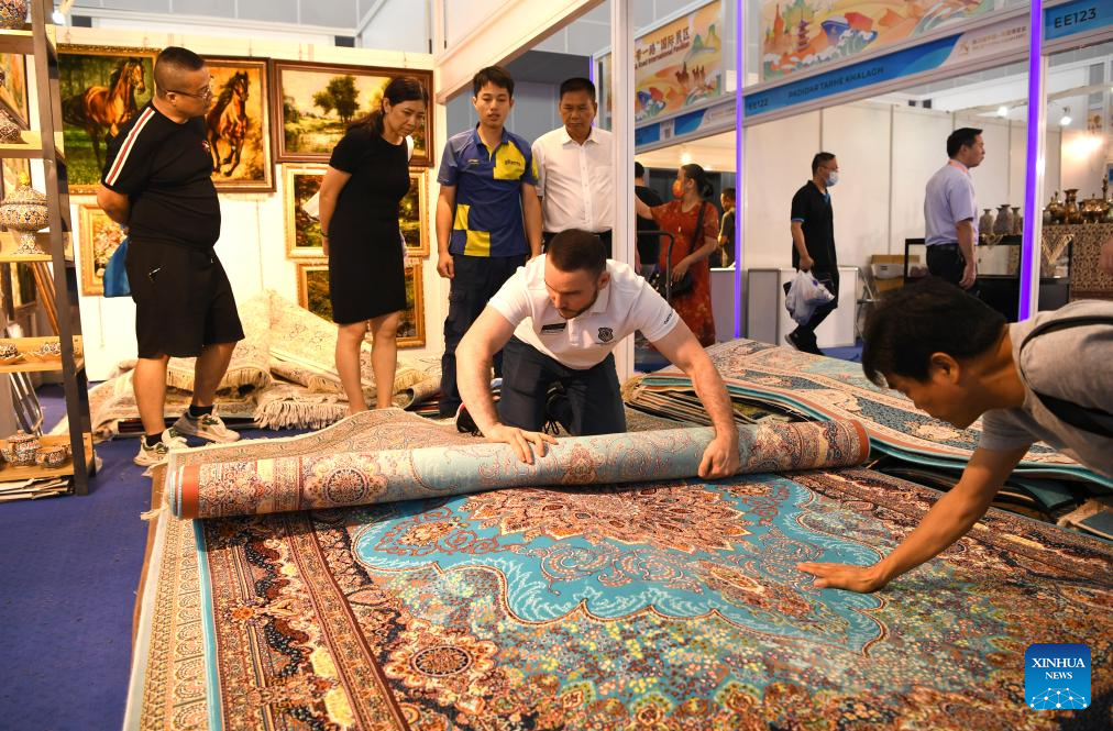 20th China-ASEAN Expo opens to public-Xinhua