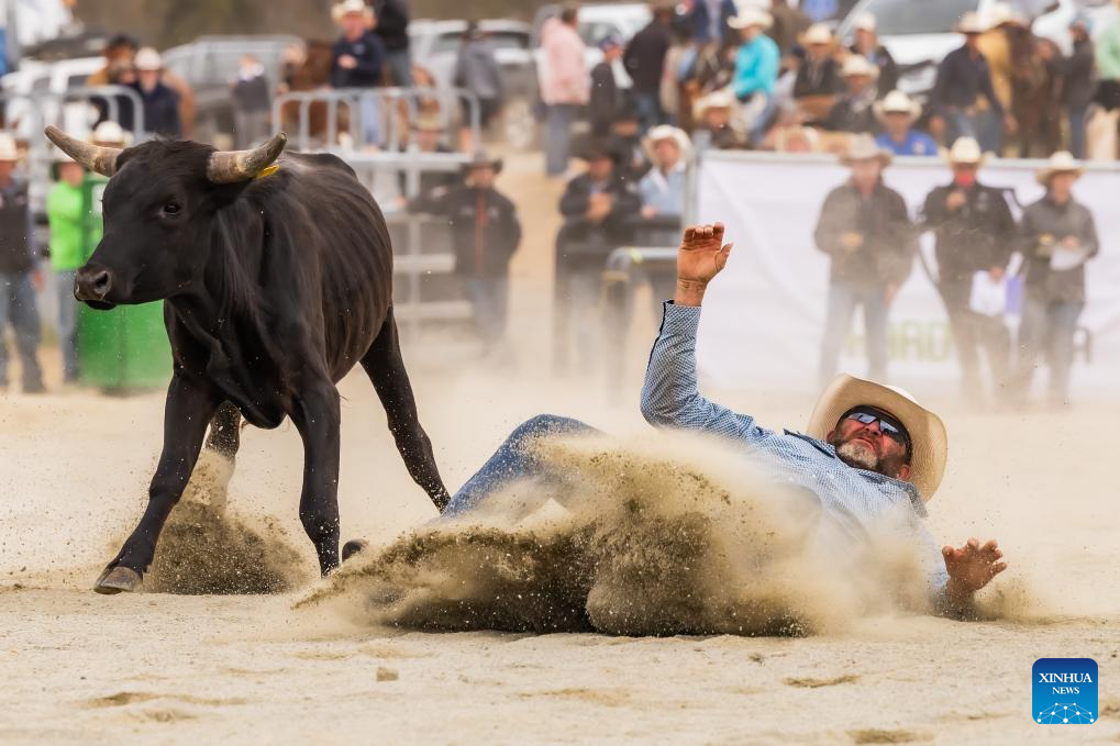 Bungendore Rodeo 2023 held in Australia-Xinhua