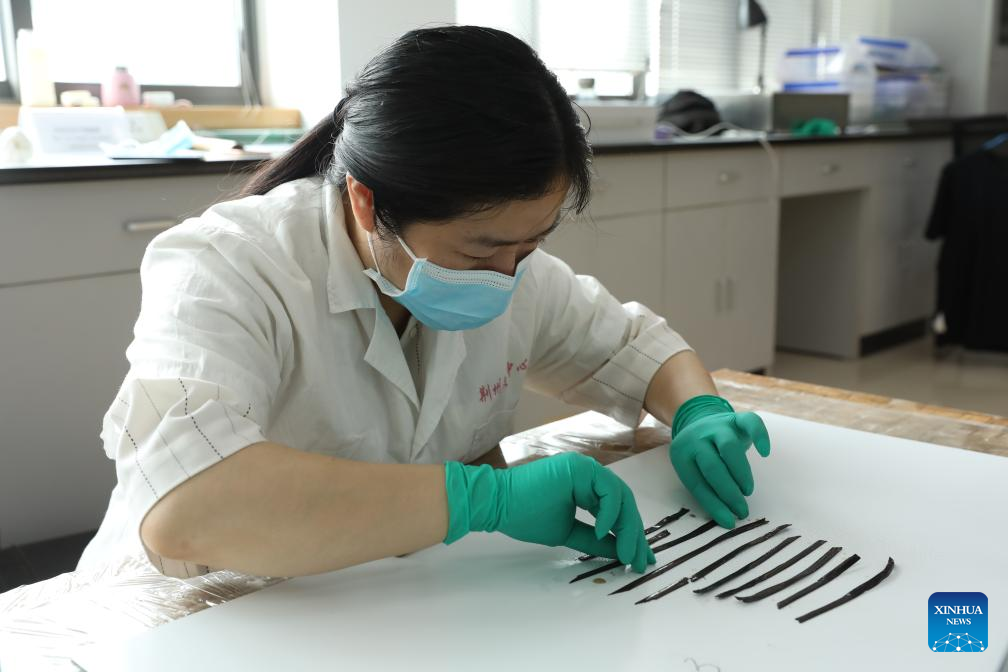 China's oldest pithy multiplication formula discovered in Hubei-Xinhua