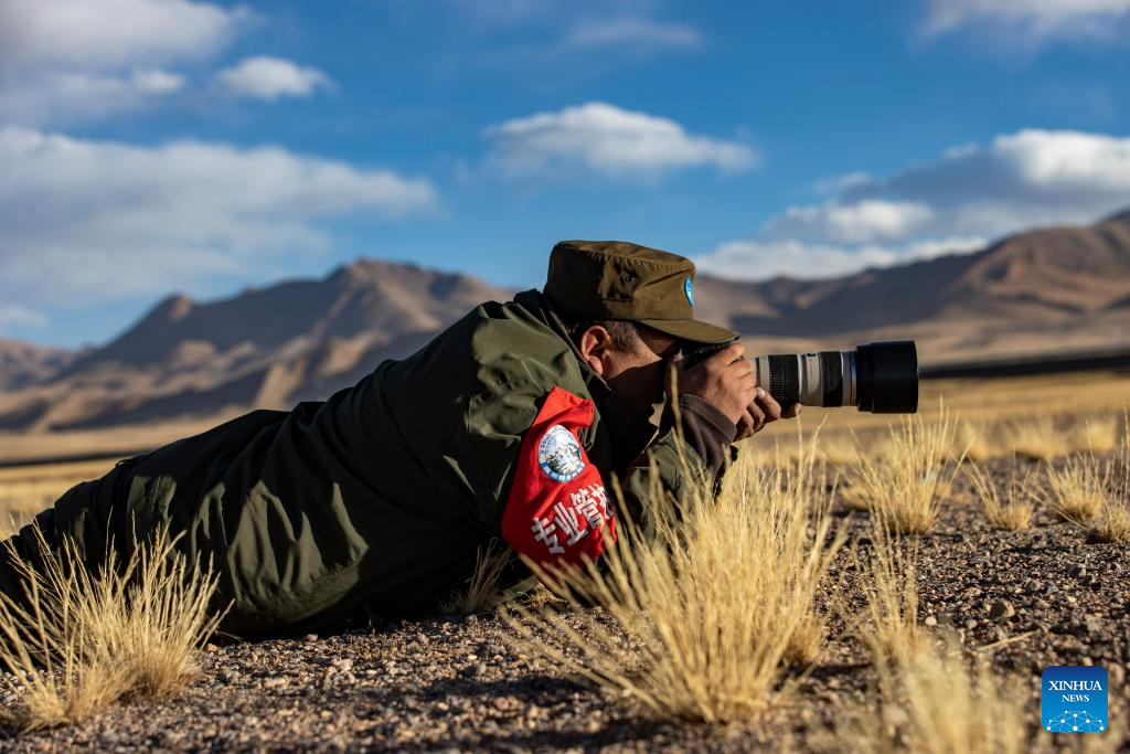 Ranger guards and documents wildlife at Changtang national nature reserve of Xizang-Xinhua