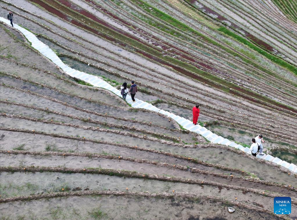 Spring scenery in China's Guangxi-Xinhua