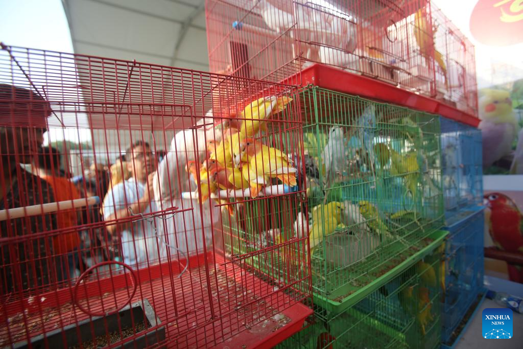 Bangladesh's largest livestock exhibition kicks off in Dhaka-Xinhua