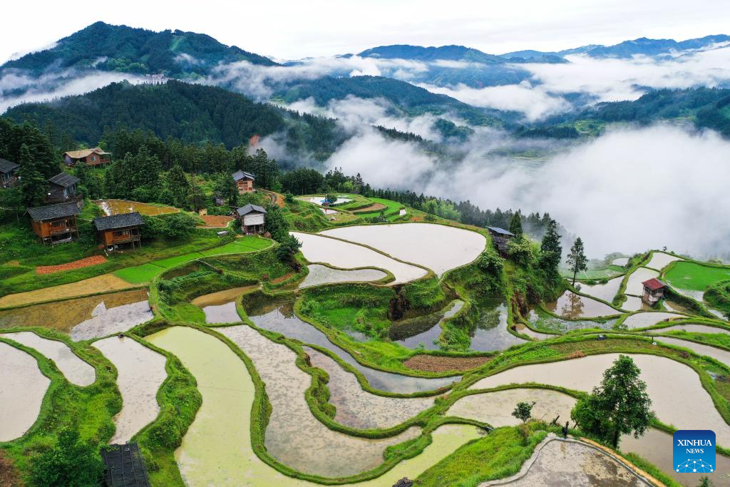 Aerial view of terrace in SW China's Guizhou-Xinhua
