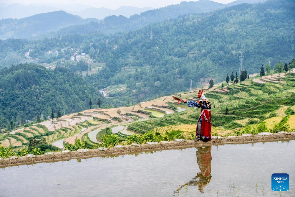 Art rooted in paddy fields: Yangxi Opera artists in SW China's ...