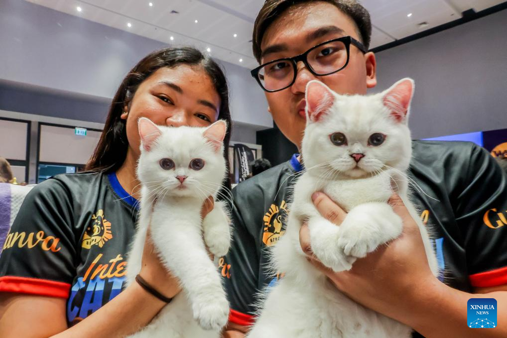 In pics: WCF Philippines World Cat Show 2024-Xinhua