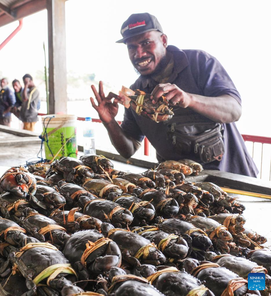 In pics: Koki Fish Market in Port Moresby, Papua New Guinea-Xinhua