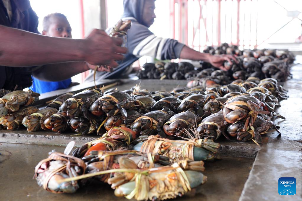 In pics: Koki Fish Market in Port Moresby, Papua New Guinea-Xinhua