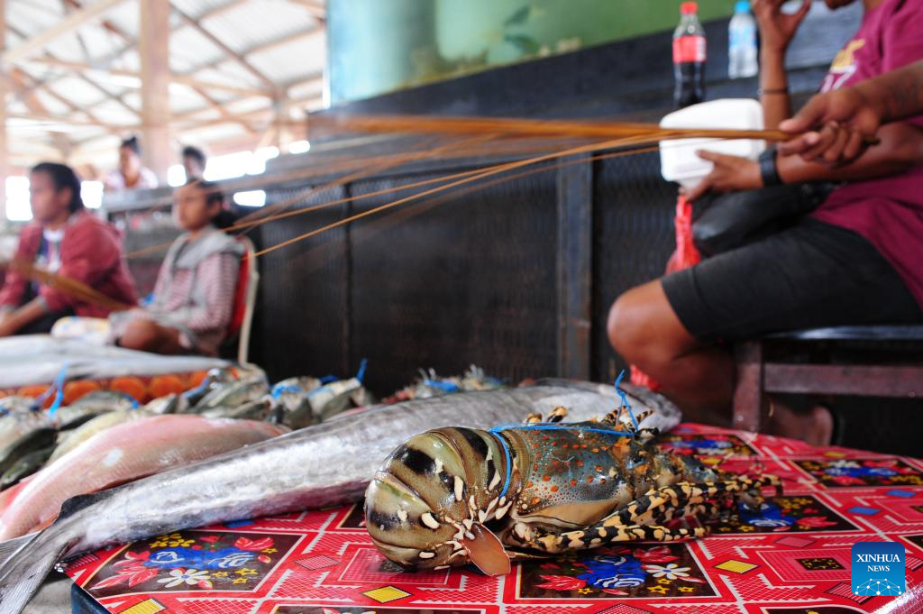 In pics: Koki Fish Market in Port Moresby, Papua New Guinea-Xinhua