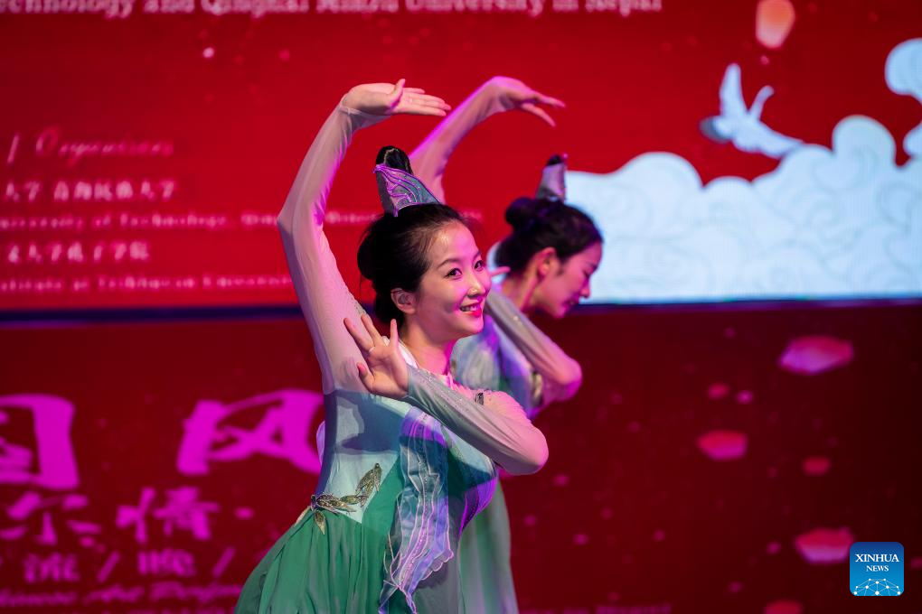 Chinese art performance held in Kathmandu-Xinhua