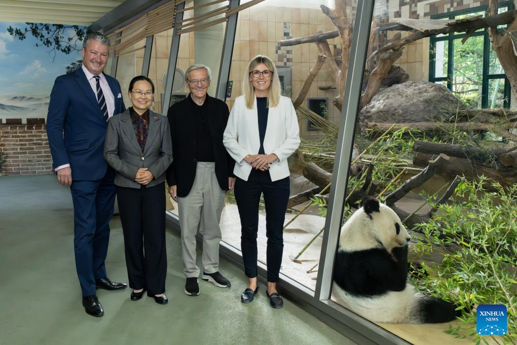 Giant pandas back to China from Austria-Xinhua