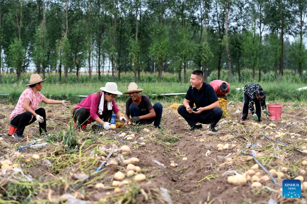 "New farmers" bring vitality into modern agriculture in north China-Xinhua