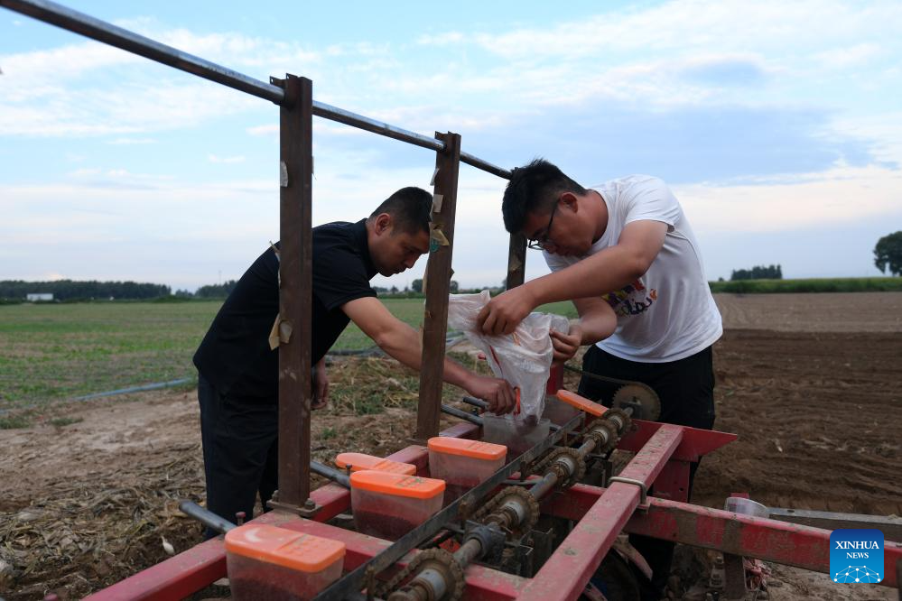 "New farmers" bring vitality into modern agriculture in north China-Xinhua