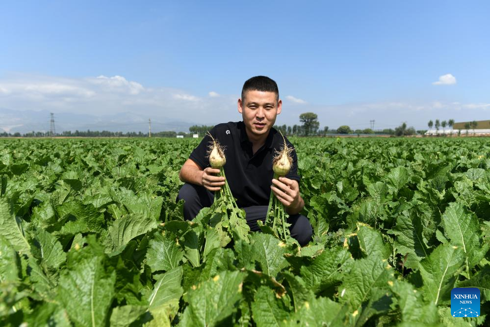 "New farmers" bring vitality into modern agriculture in north China-Xinhua