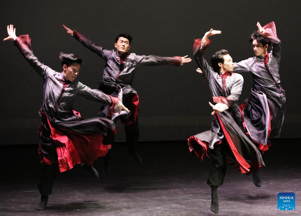 China's Lingnan cultural show held in New Zealand-Xinhua