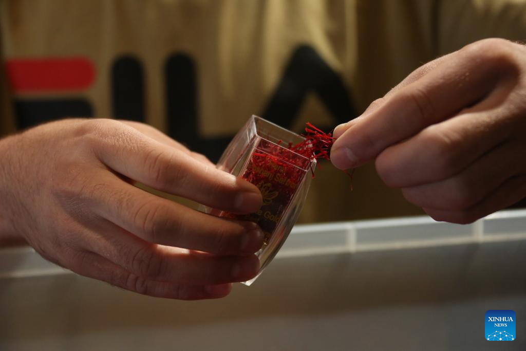 Afghanistan exports saffron, ferula asafetida worth 77.5 mln USD in 6 ...
