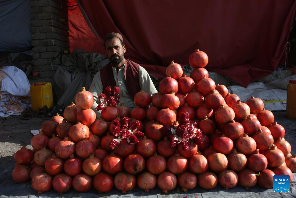 Afghanistan exports saffron, ferula asafetida worth 77.5 mln USD in 6 ...