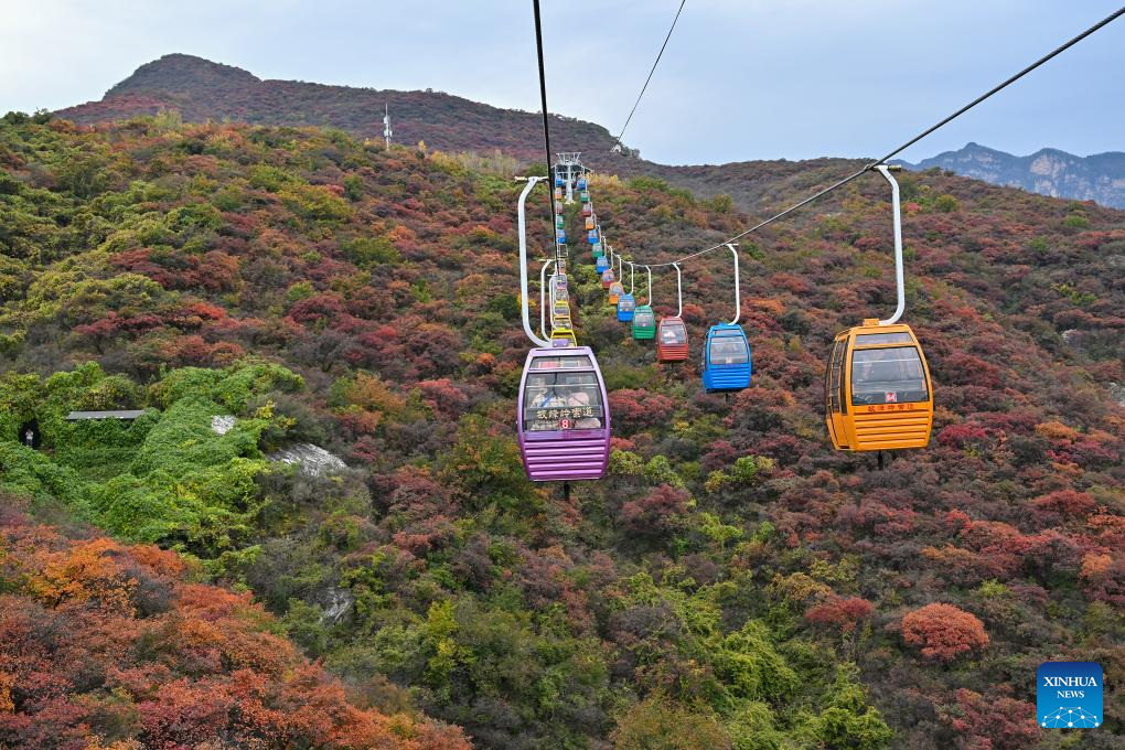 Autumn scenery in Beijing-Xinhua
