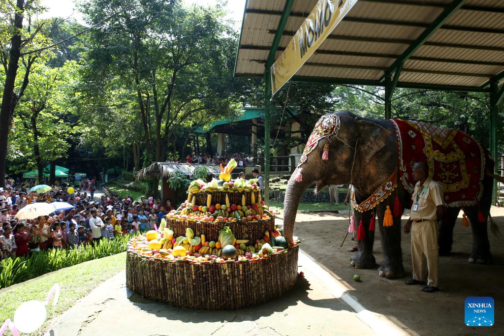 Myanmar's beloved Asian elephant Momo celebrates 71st birthday at ...