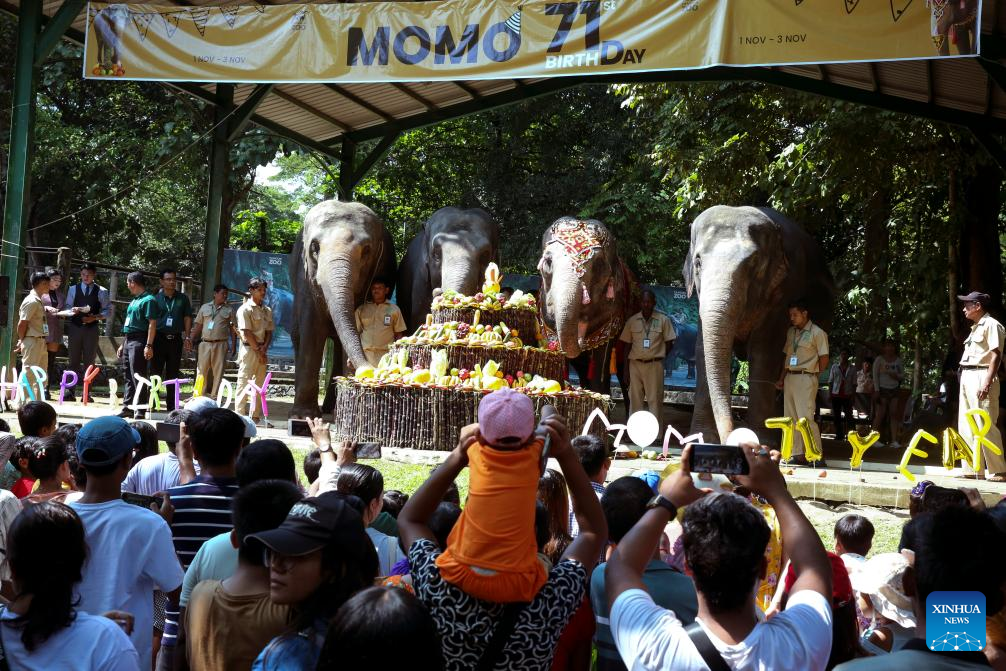 Myanmar's beloved Asian elephant Momo celebrates 71st birthday at ...