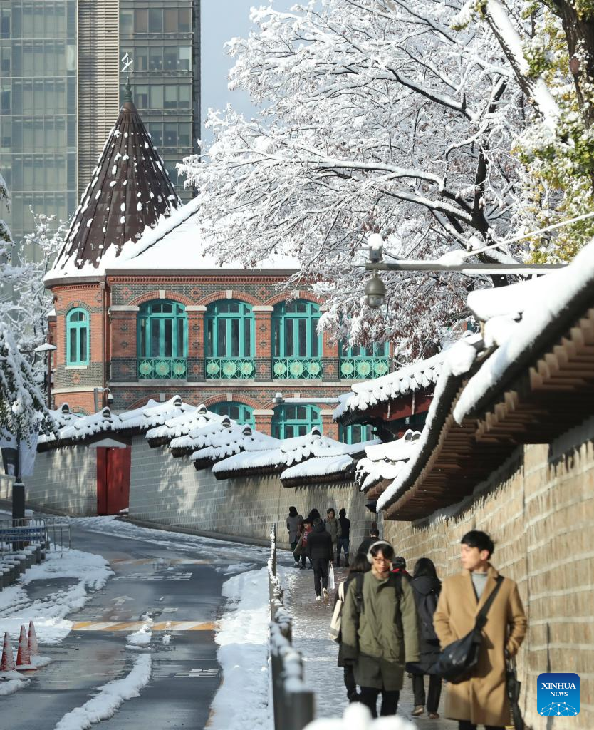 S. Korea's capital city logs record November snowfall-Xinhua