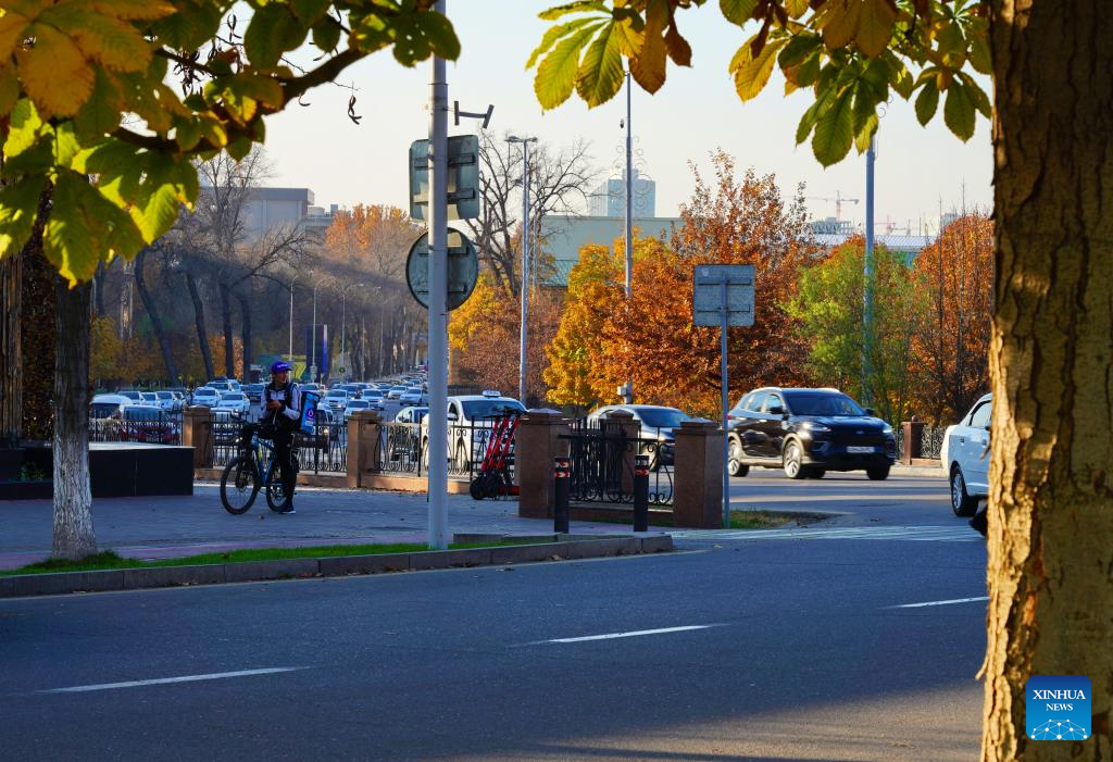 Scenery of Tashkent, Uzbekistan-Xinhua