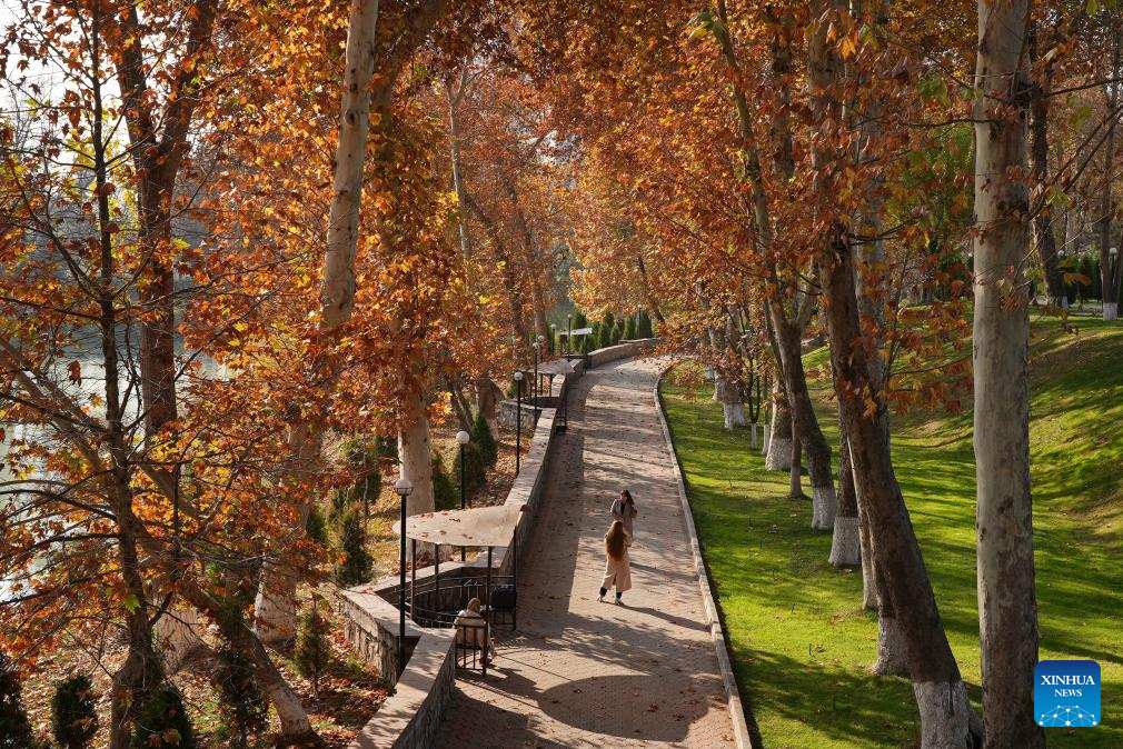 Scenery of Tashkent, Uzbekistan-Xinhua