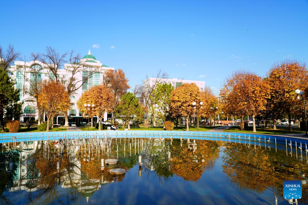 Scenery of Tashkent, Uzbekistan-Xinhua