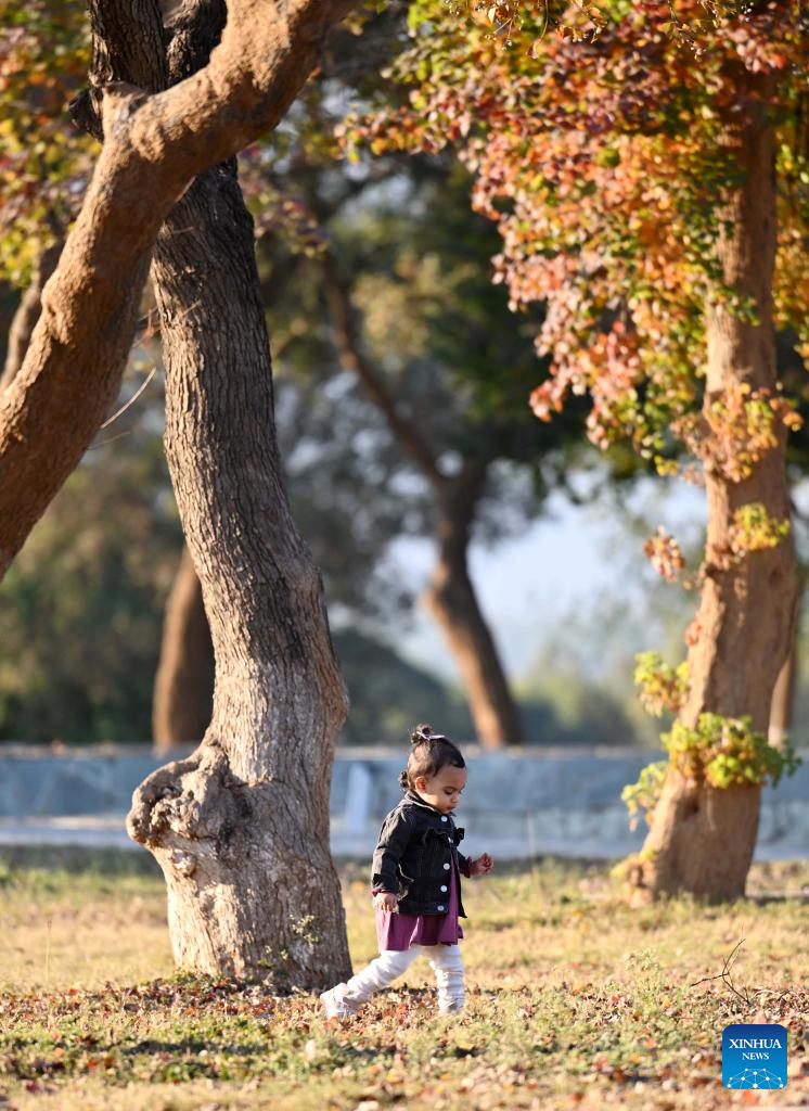 View of early winter in Islamabad, Pakistan-Xinhua