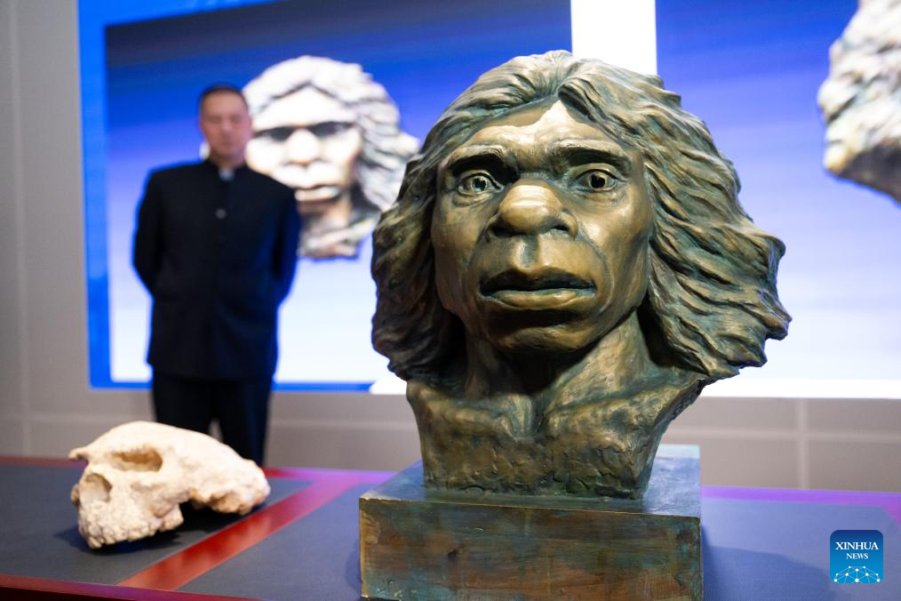 Restored fossil human skulls unveiled by Hubei Provincial Museum in ...