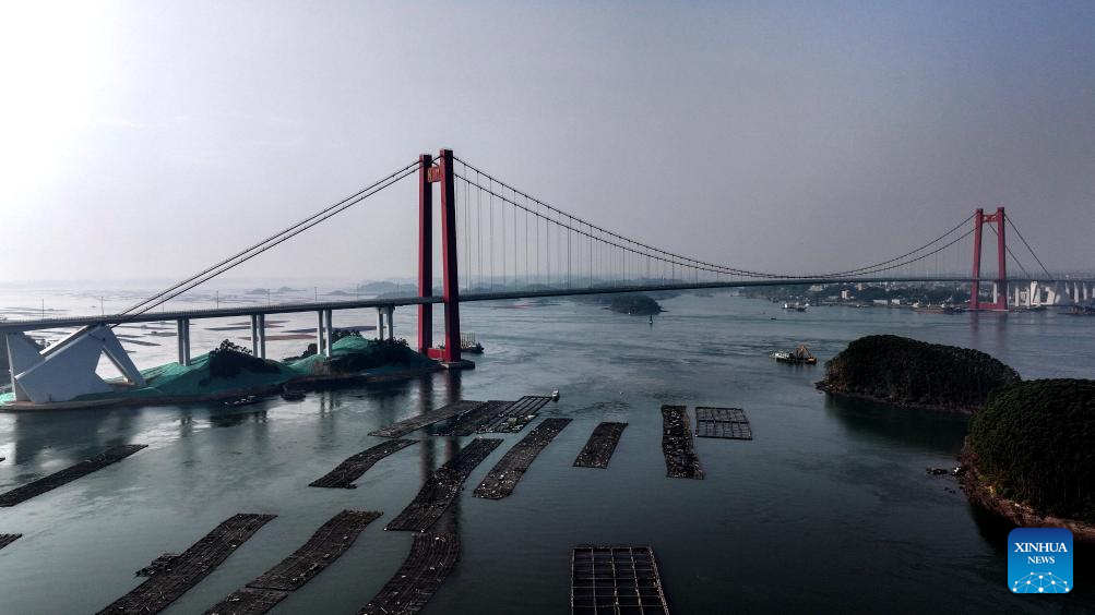 Longest cross-sea bridge in China's Guangxi opens to traffic-Xinhua