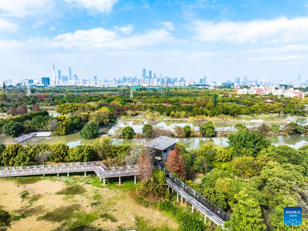 New insect species found in south China urban wetland-Xinhua