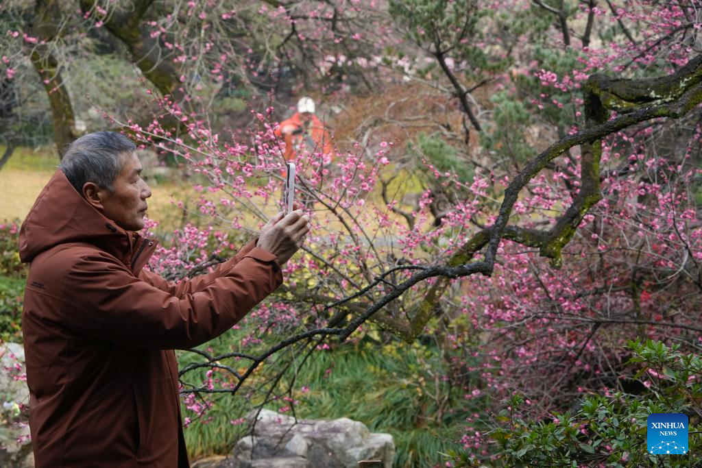 Tourists enjoy plum blossoms at Lingfeng Mountain in Hangzhou-Xinhua