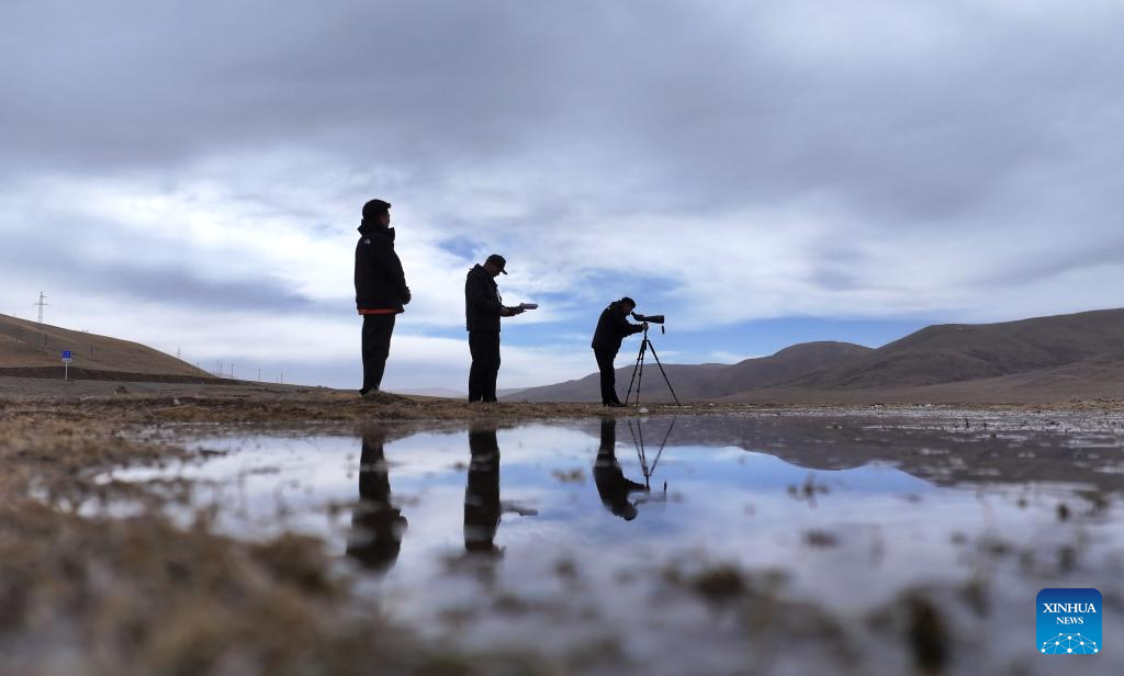 City view of Yushu City, China's Qinghai-Xinhua