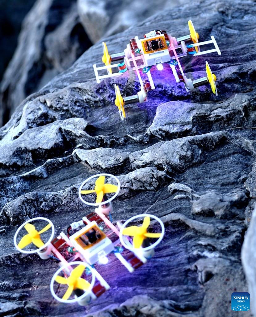 China Focus: Chinese scientists develop world's smallest untethered ...