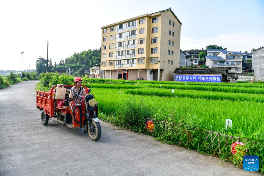 Rural living environment improved in China's Guizhou-Xinhua