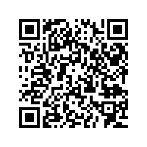 Brunei's Muara Port expansion project to be completed by 2027-Xinhua