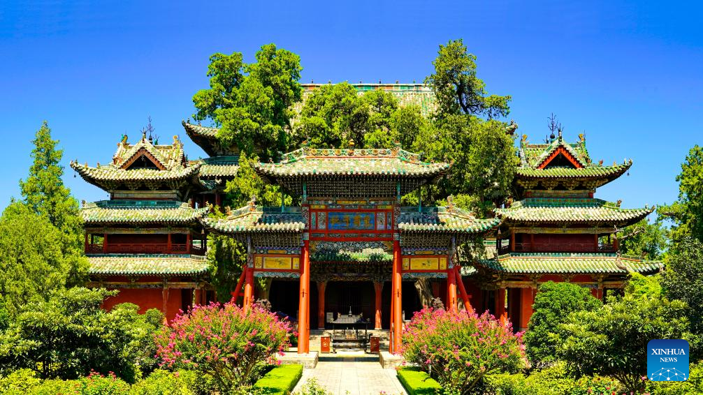 Across China: Ancient trees stand tall thanks to better protection-Xinhua