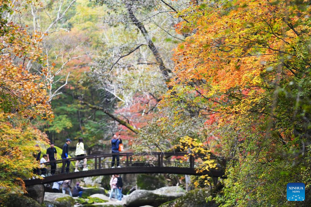 Maple leaves brighten autumn scenery in Benxi, NE China's Liaoning-Xinhua