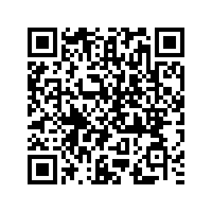 Cambodia's leading think tank to host forum on small state foreign ...