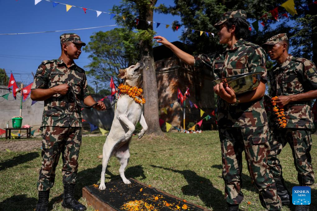 Kukur Tihar festival celebrated in Bhaktapur, Nepal-Xinhua