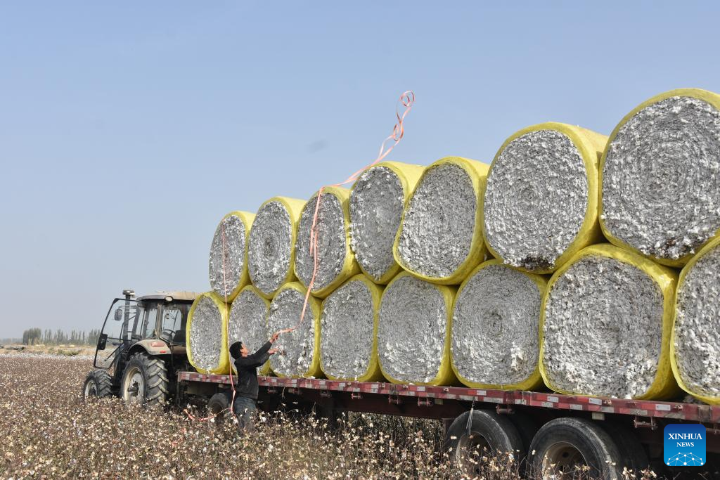 Harvest season of cotton starts in Xinjiang-Xinhua
