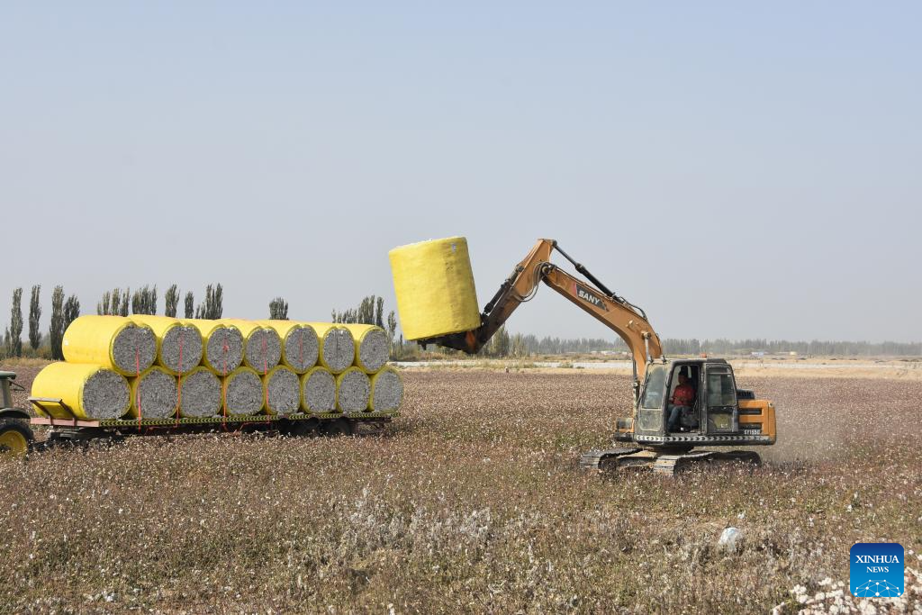Harvest season of cotton starts in Xinjiang-Xinhua