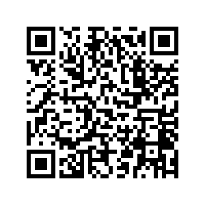 Indian professionals stranded back home as U.S. visa renewals face ...