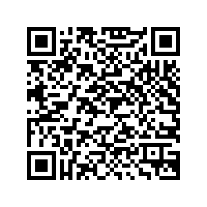 Urgent: S. Korean police raid office of special counsel investigating ...