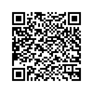 S. Korea's import price rises for 6th month in December-Xinhua