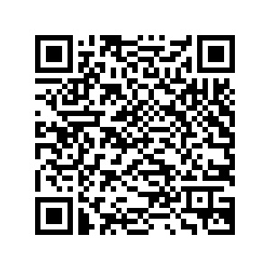 Lancang-Mekong countries see positive outcomes from joint anti-crime ...