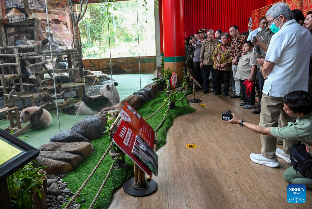 Asia-Pacific Community: 6-month-old panda anchors China-Indonesia ...