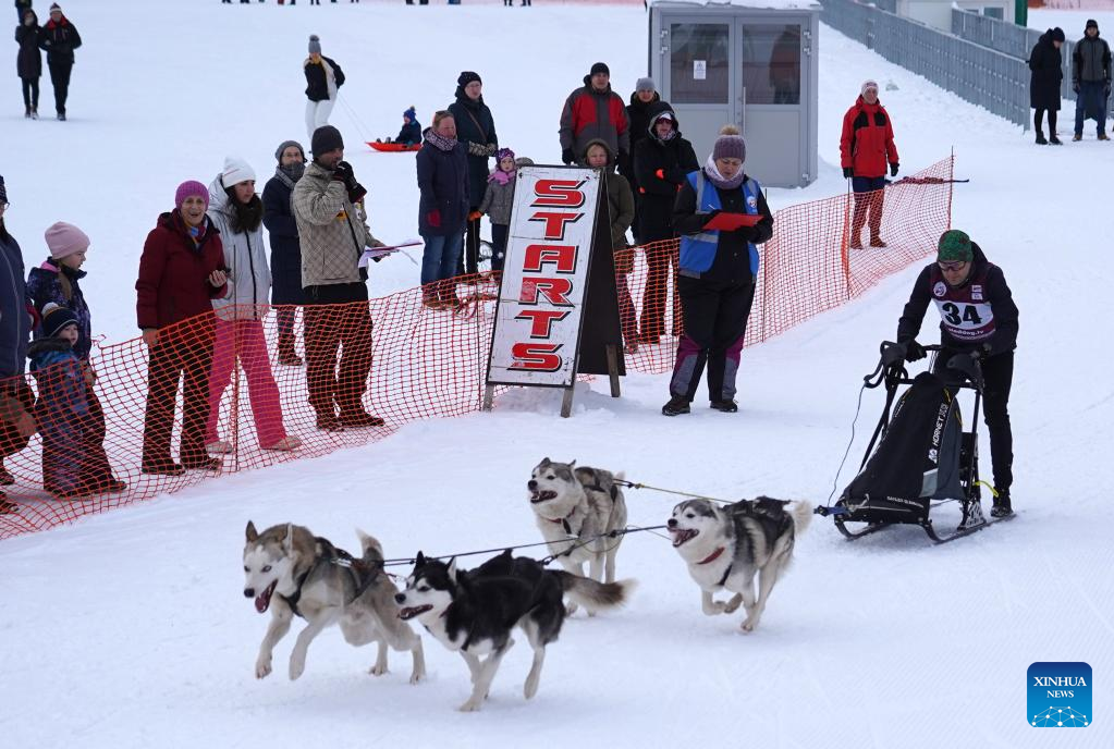 Highlights of Latvian sleddog winter championships 2022-Xinhua