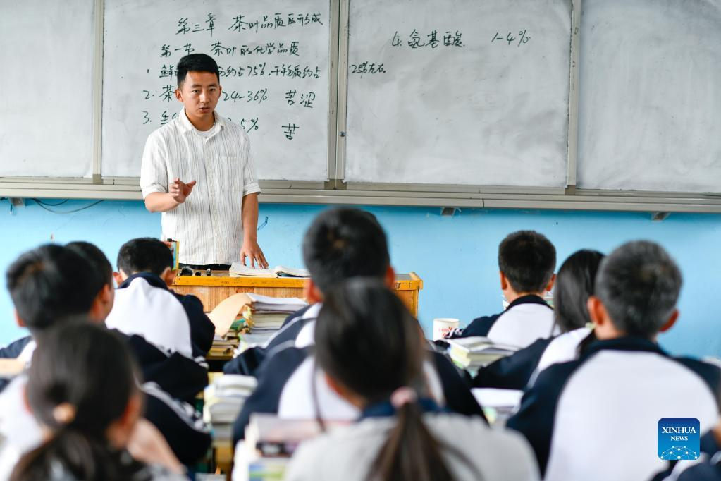 Pic story: tea making instructor in SW China-Xinhua