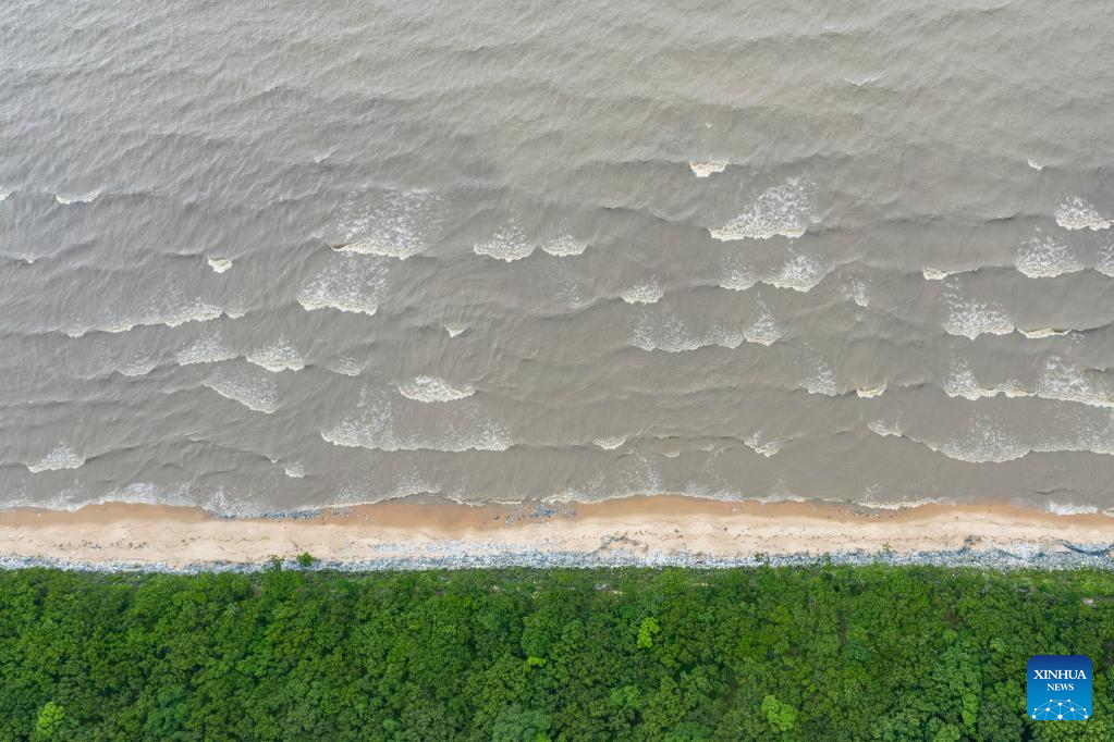 Scenery of Xingkai Lake National Nature Reserve in NE China-Xinhua